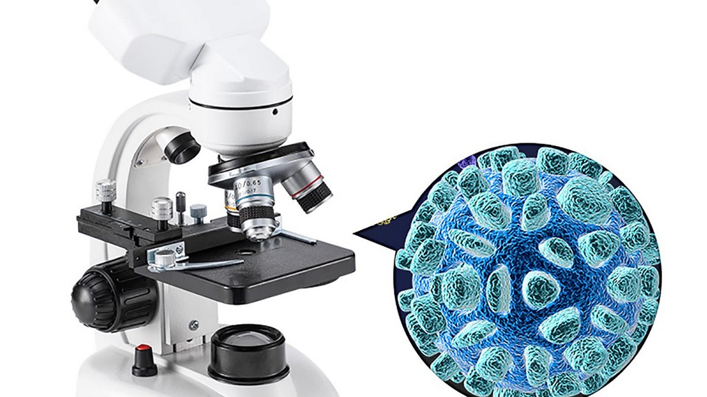 Biyolojik Optik Mikroskop