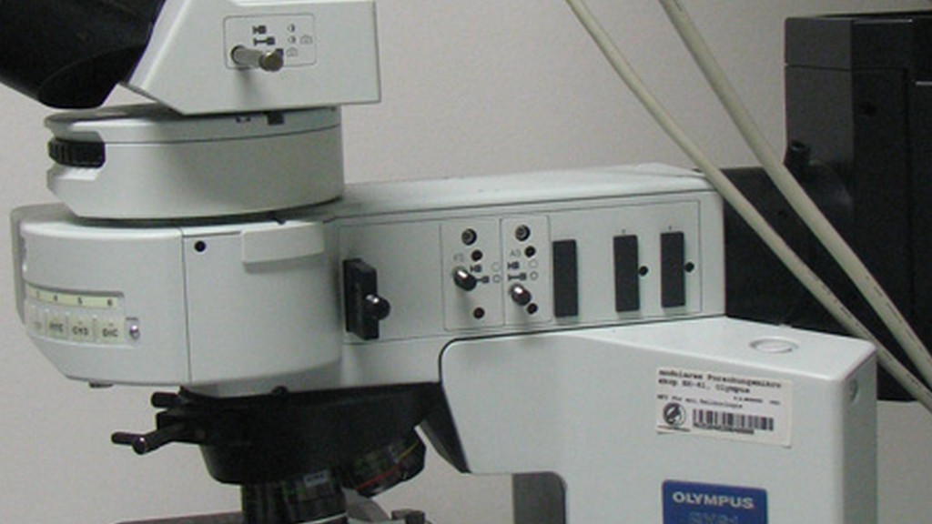 Microscopio de fluorescencia de fotones duales