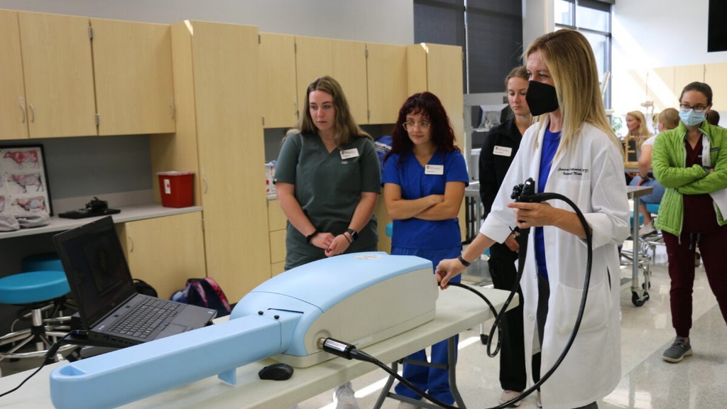 Simulator ng Pagsasanay sa Endoscopy