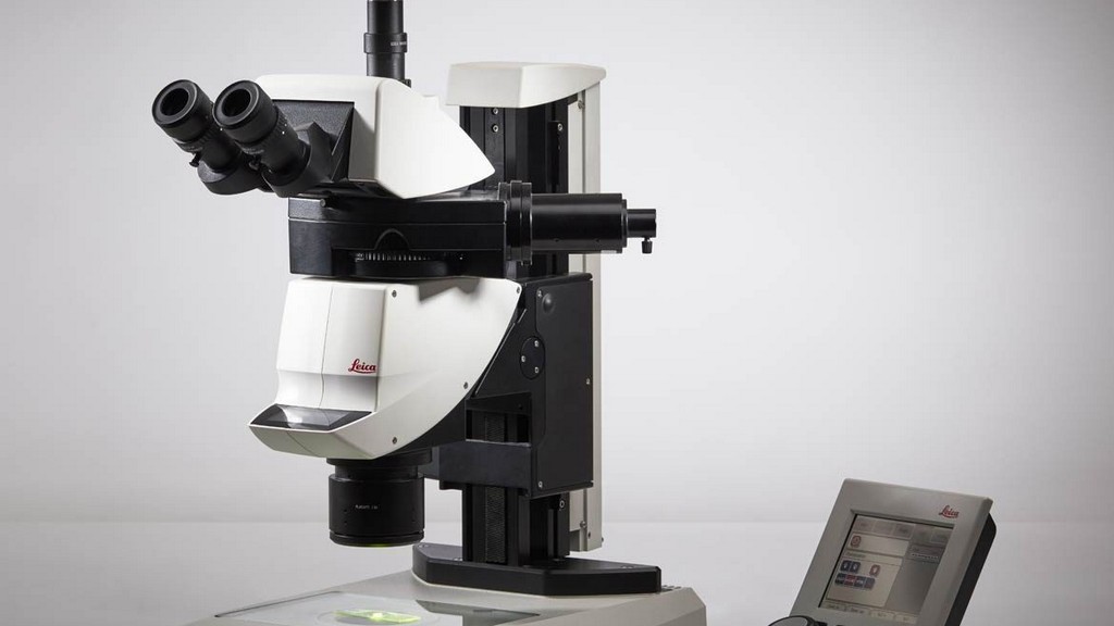 Fluorescent Stereo Microscope