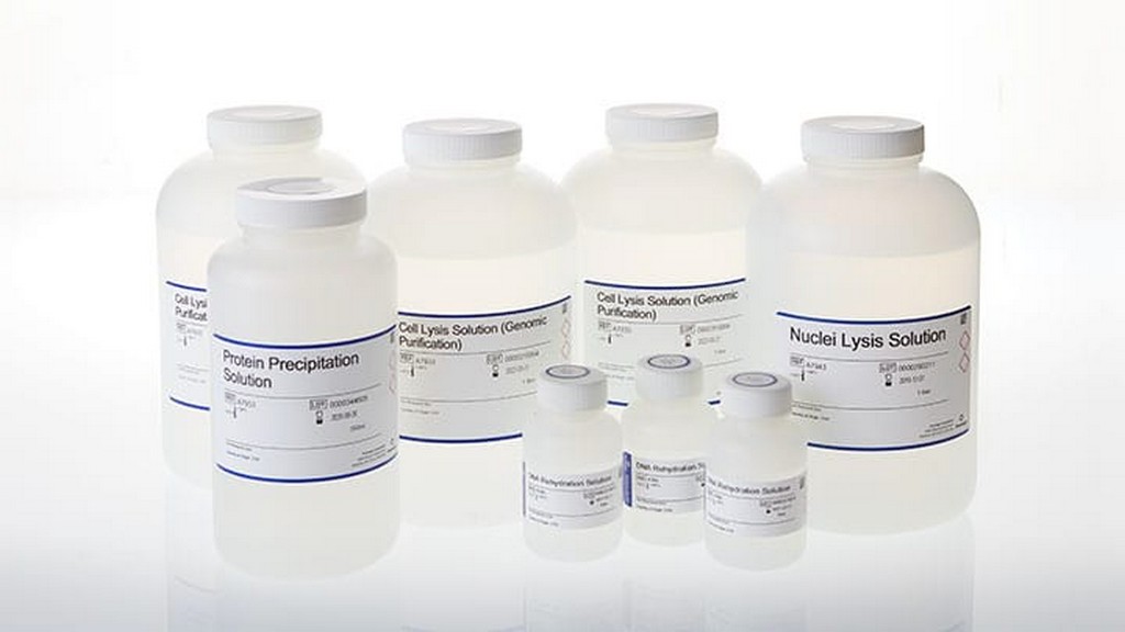 Rapid DNA Purification Kits