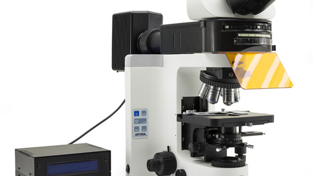Fast Imaging Fluorescence Microscope
