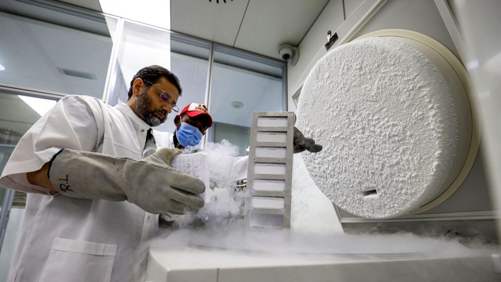 Cell Storage Tank Backup Battery Systems