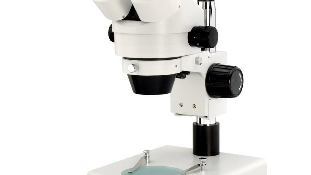 Two-Eyed Stereo Zoom Microscope