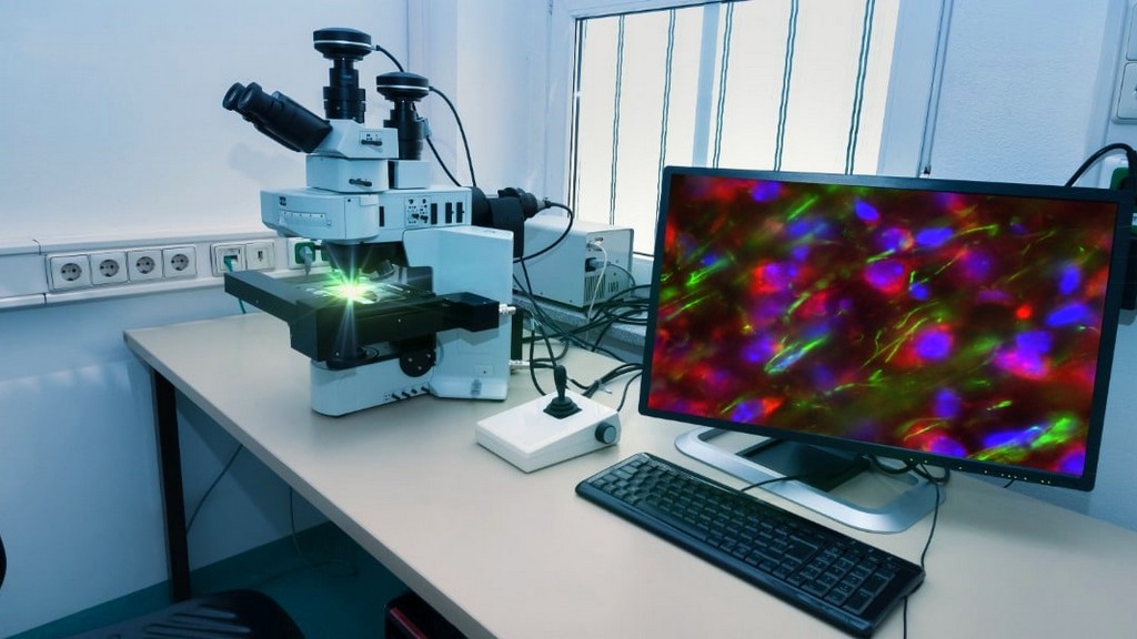 Microscopios de inmunofluorescencia