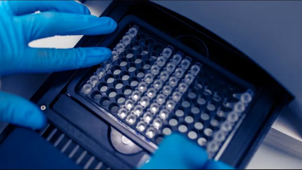 Dispositivo de PCR multiplex