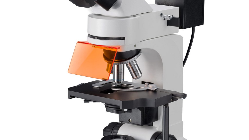 Microscopio de fluorescencia de larga exposición